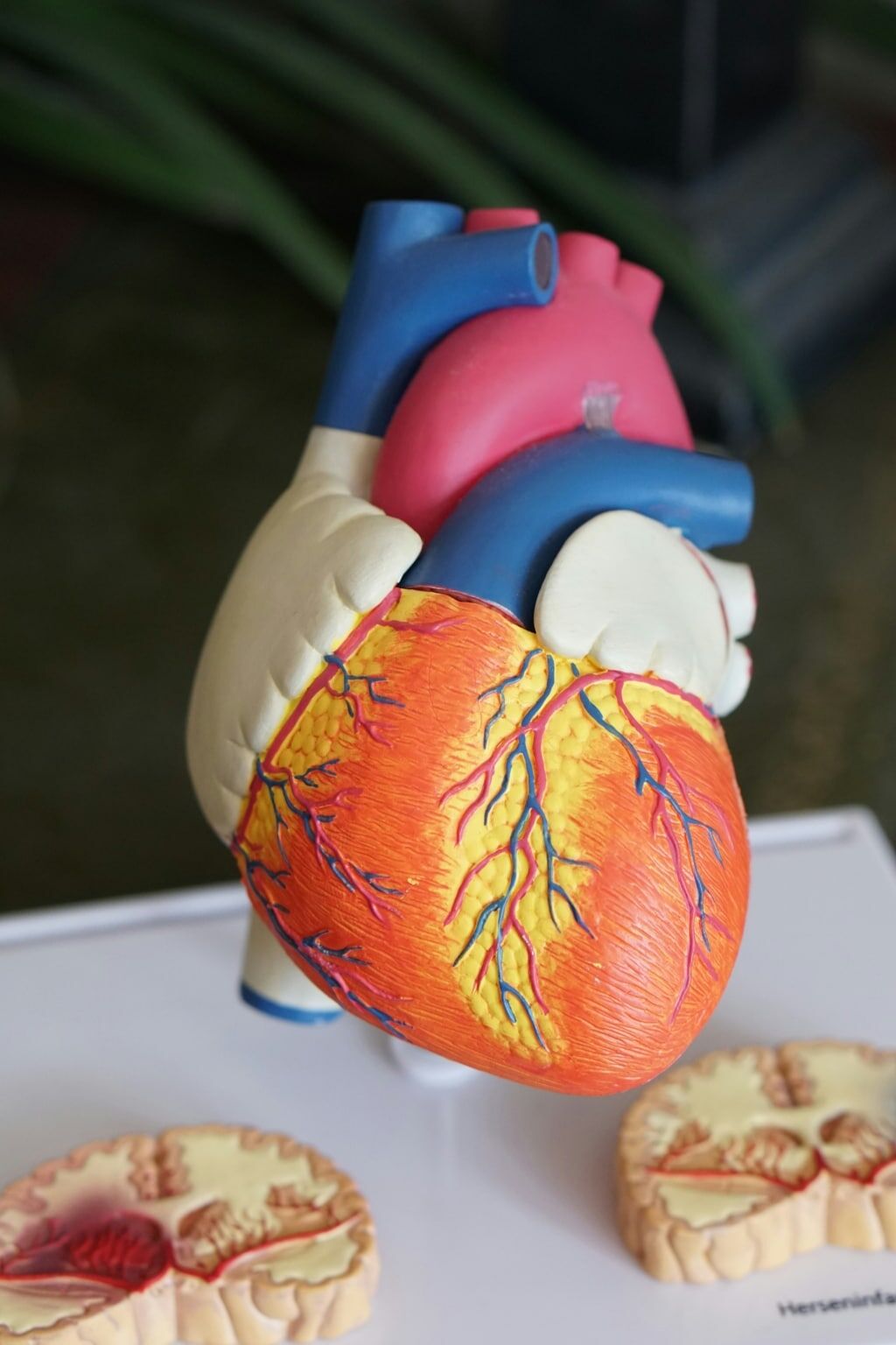 Heartful Living: 5 Practices for a Healthier Heart - Healthedly ...
